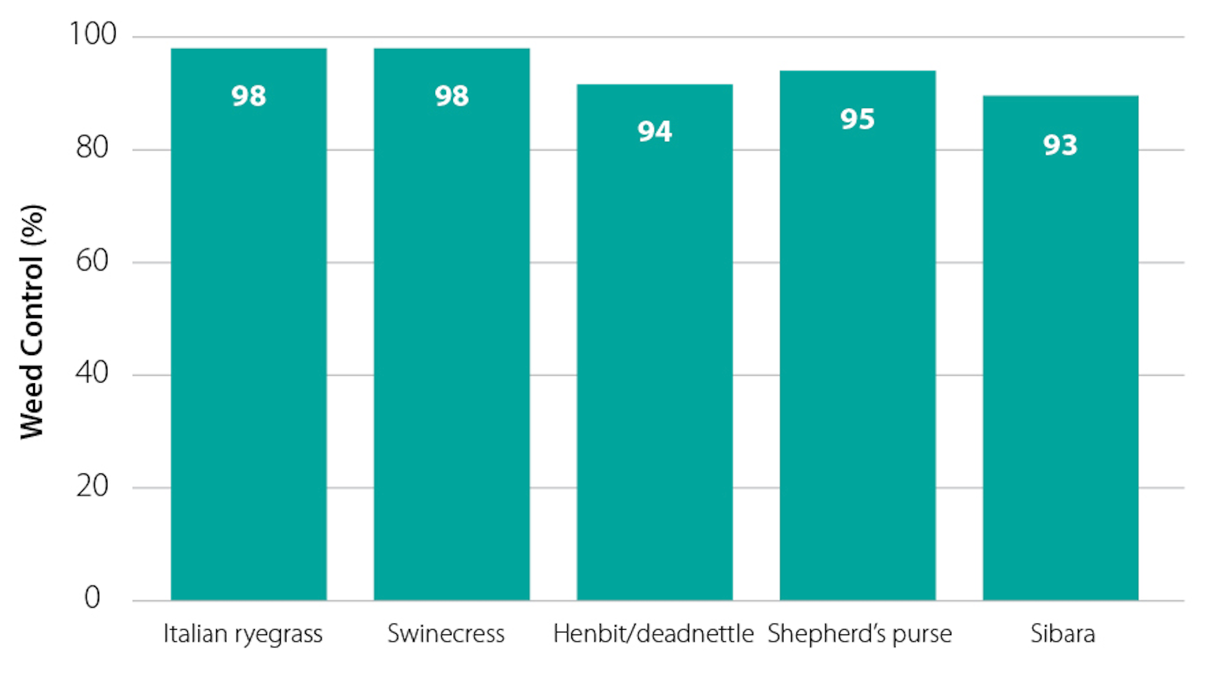 Managing Ryegrass With Fall Herbicide Applications | FMC Ag US
